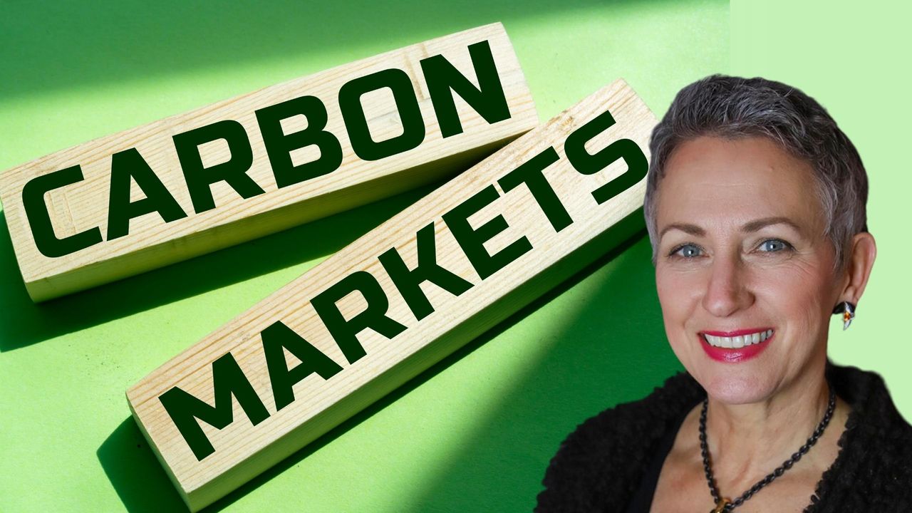Former Lloyd’s CEO Inga Beale joins climate company to drive ...